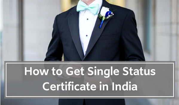 A Comprehensive Guide Understanding Single Status Certificates - Iconic ...